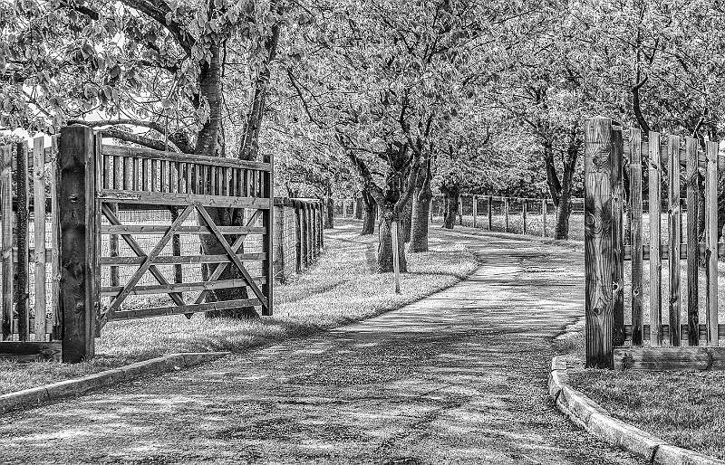 Print Monthly Competition 2015-16/Month 2/An Open Gate